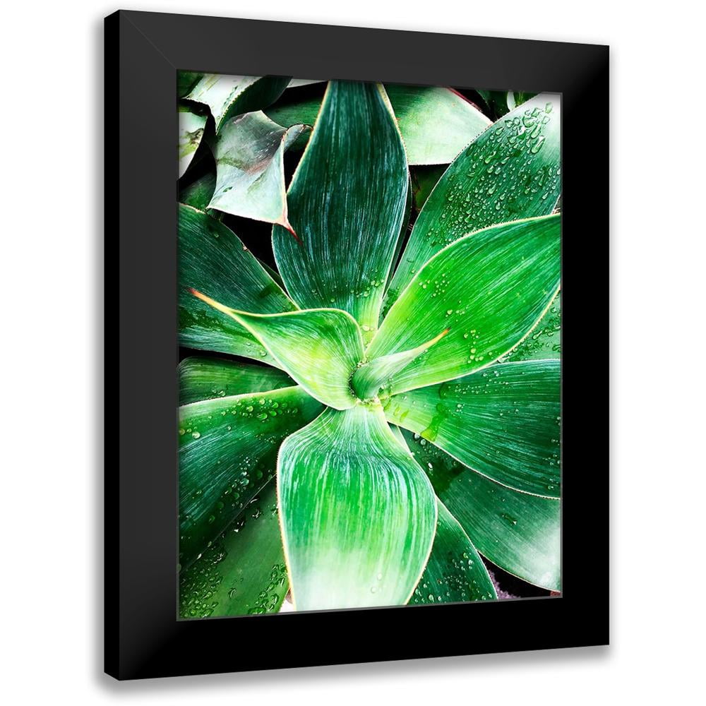 Orlov, Irena 15x18 Black Modern Framed Museum Art Print Titled - Green ...