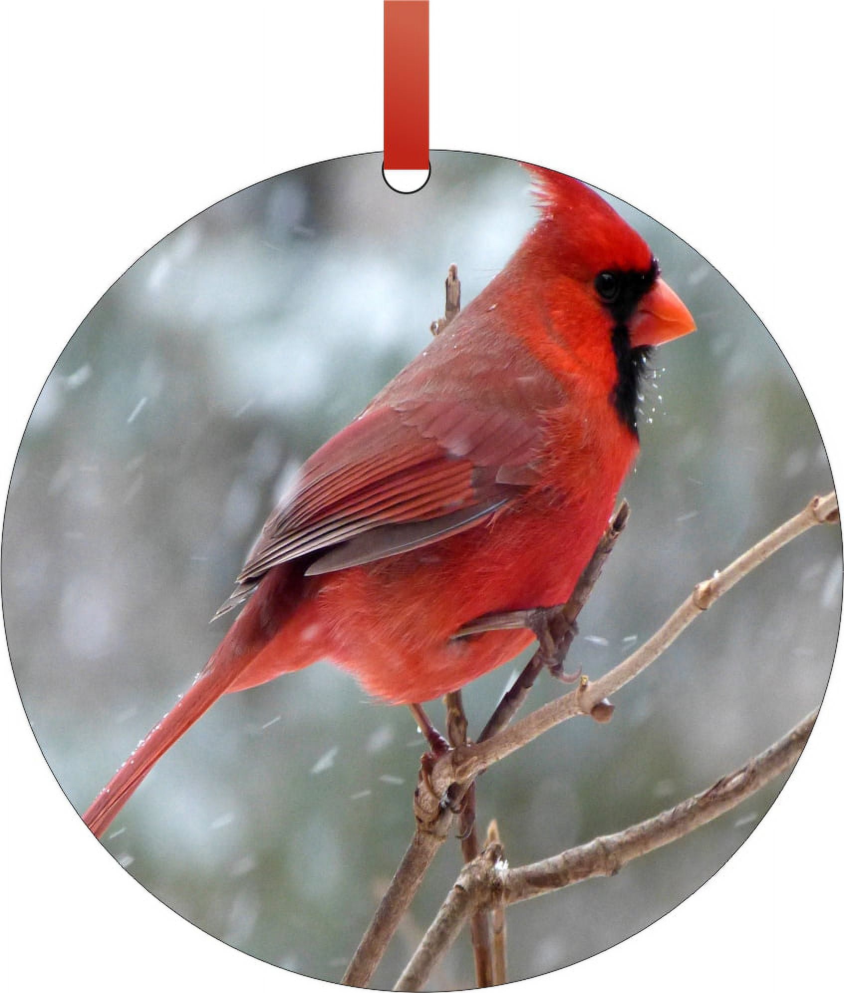 Ornament Cardinal - Red Cardinal Bird in the Snow - Round Shaped Flat ...
