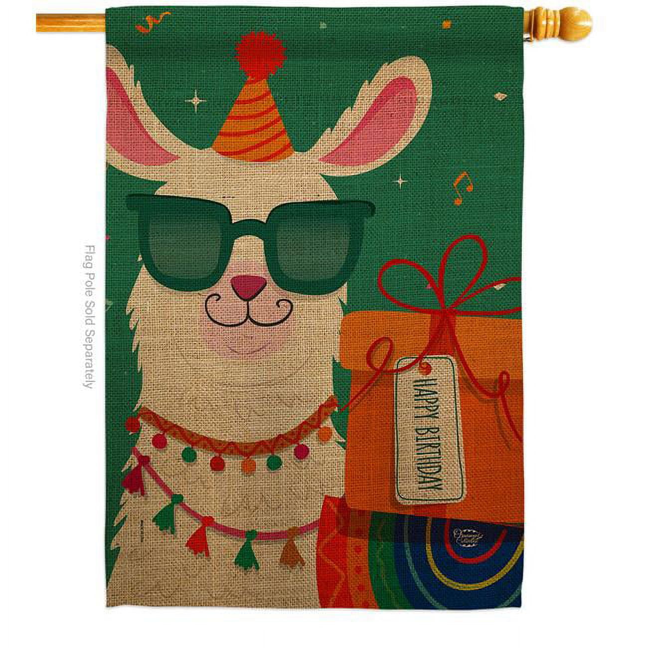 Ornament Collection H192186-BO Cool Llamas Birthday Celebration Double ...