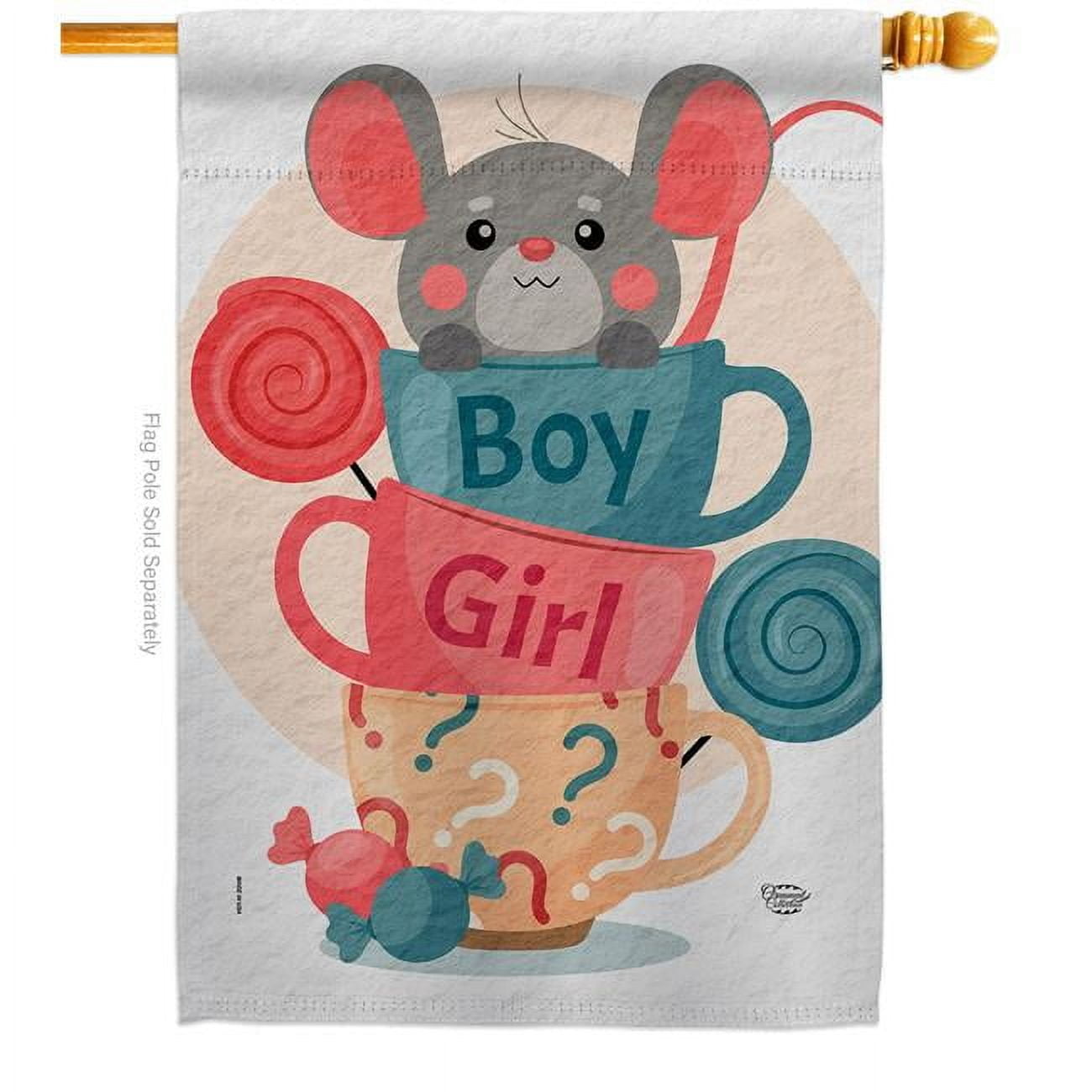 Ornament Collection Mousy Boy Girl Celebration New Born Double-Sided ...