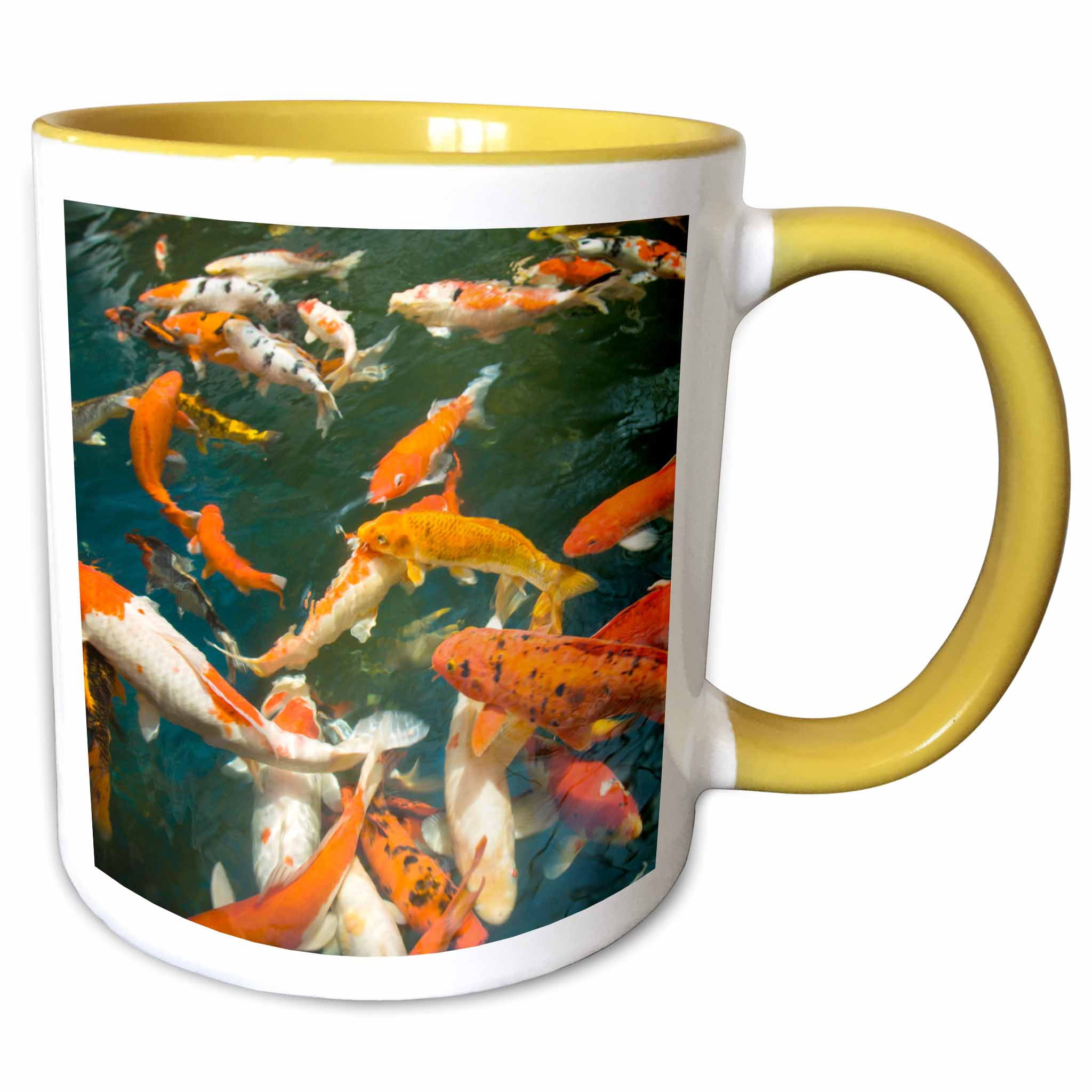 3drose, Ornament Koi, Shopping Mall, Malacca, Malaysia -as23 Sws0093 ...