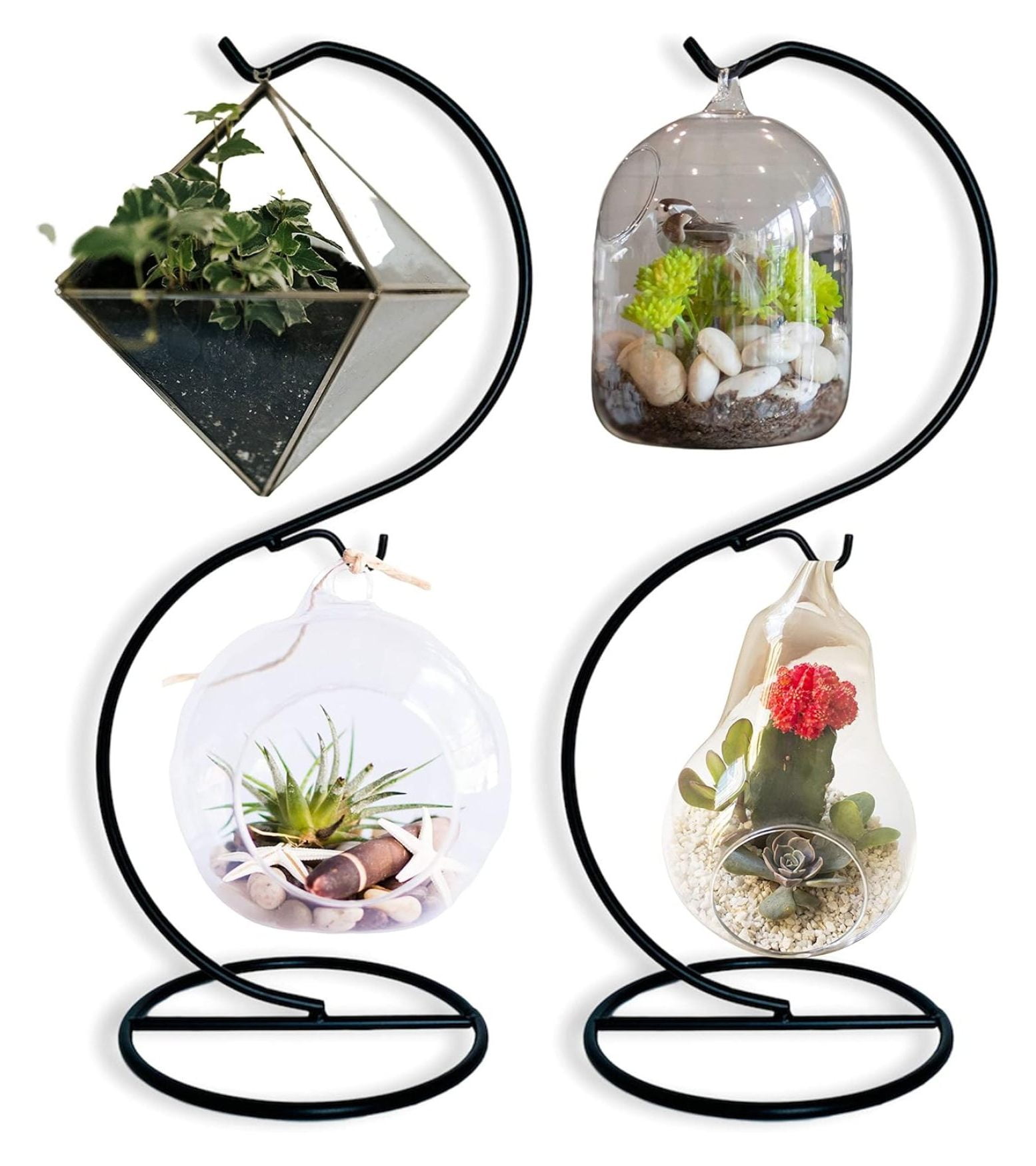 Ornament Terrarium Stands - Dual Display - 2 Pack - Black Metal Holders ...