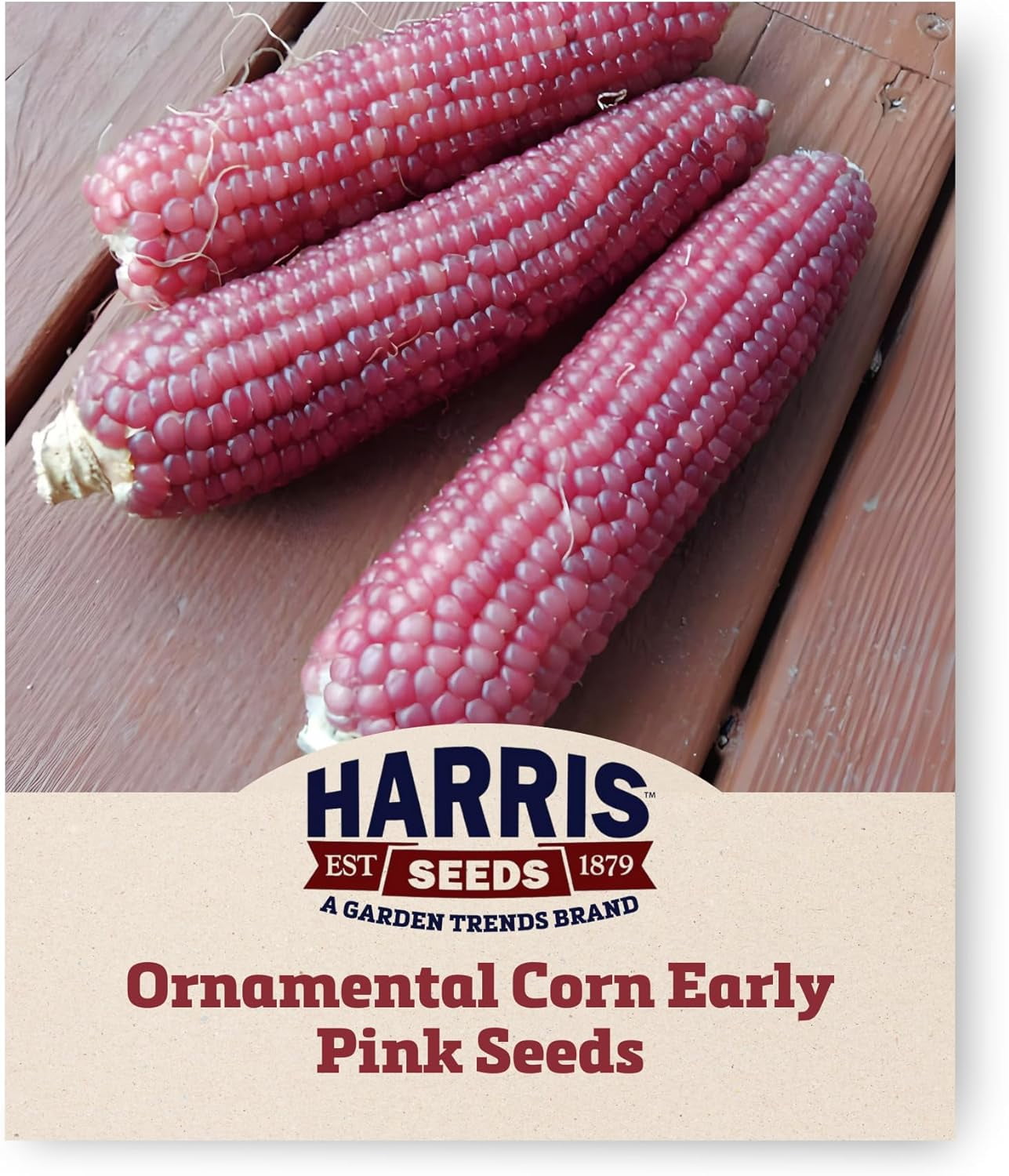 Harris Seeds - Ornamental Corn Early Pink Popcorn Variety Mauve Pink ...