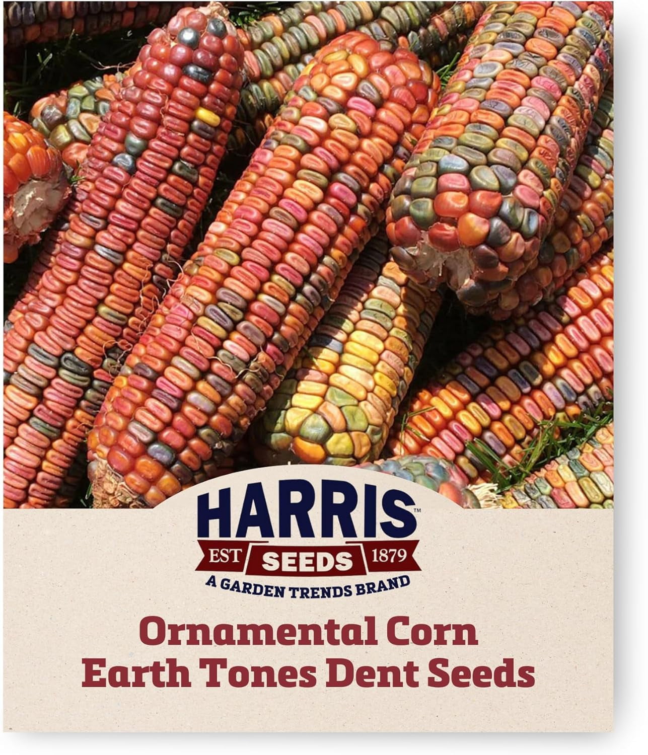 Harris Seeds Ornamental Corn Earth Tones Dent Non-GMO - 100 Seeds - Walmart.com