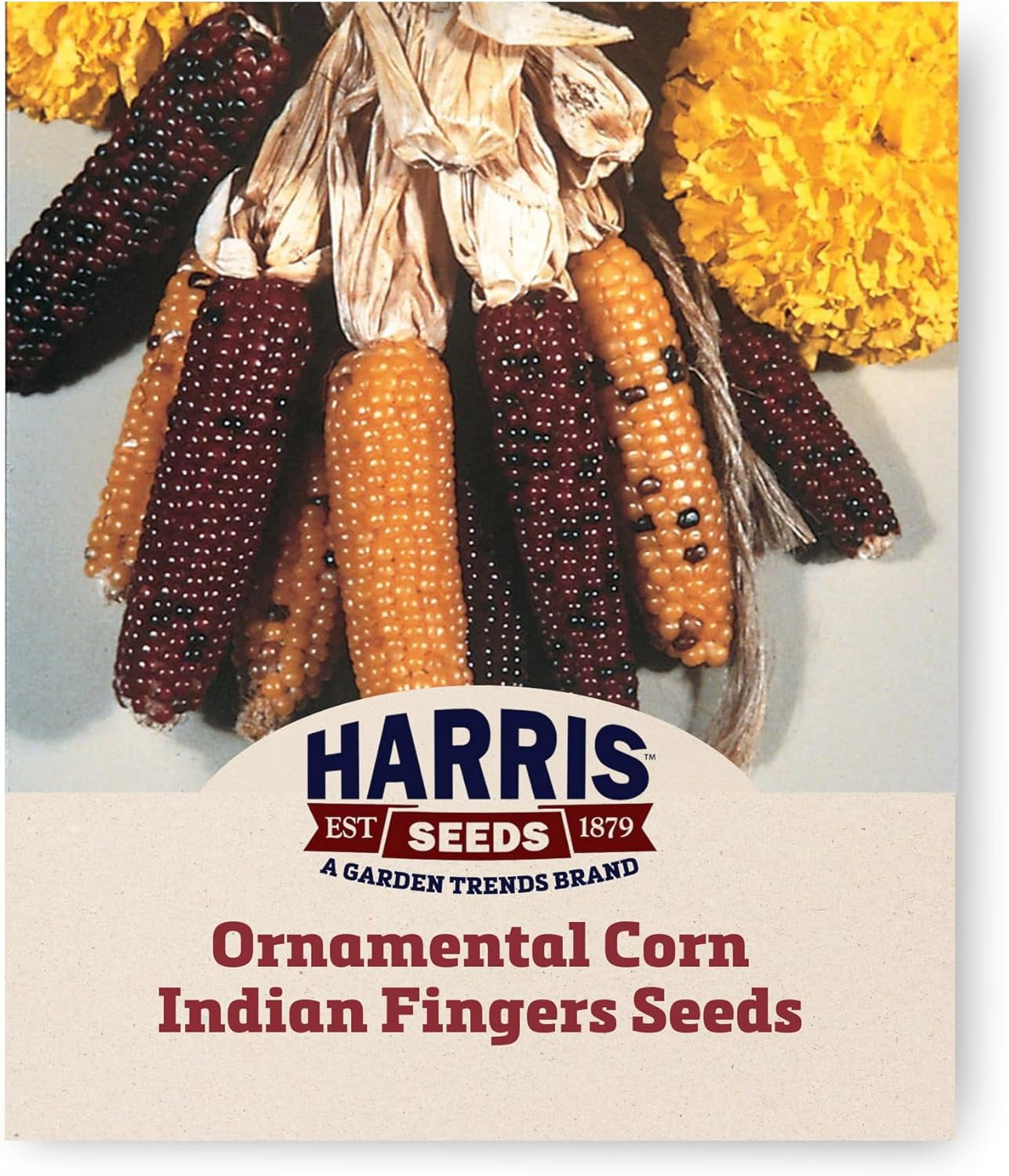 Harris Seeds - Indian Fingers Ornamental Corn Seeds - Treated, Non-GMO ...