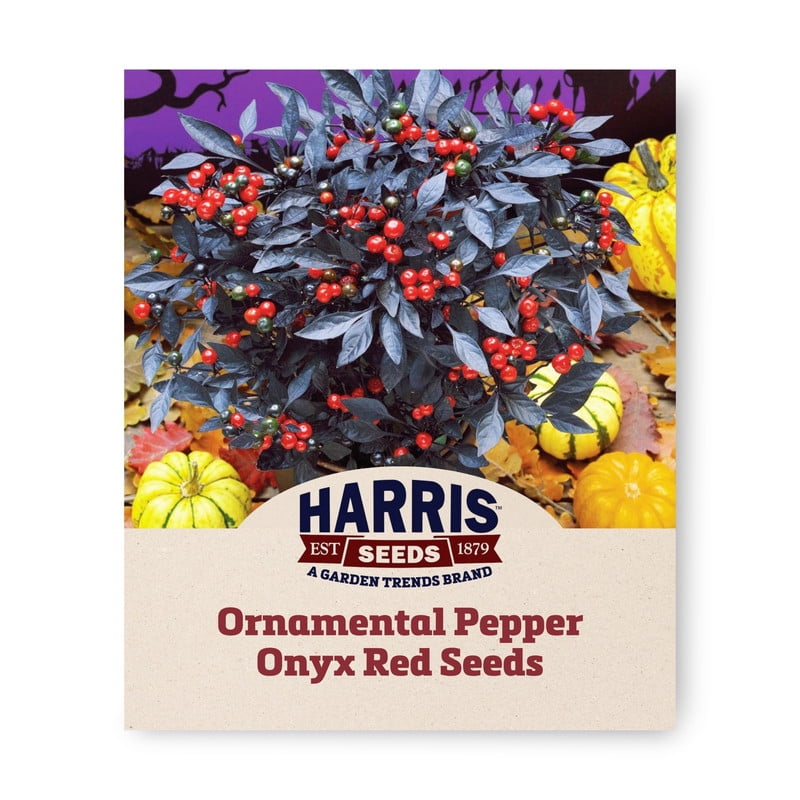 Harris Seeds - Ornamental Pepper Onyx Red Seeds - Annual Type Plant ...
