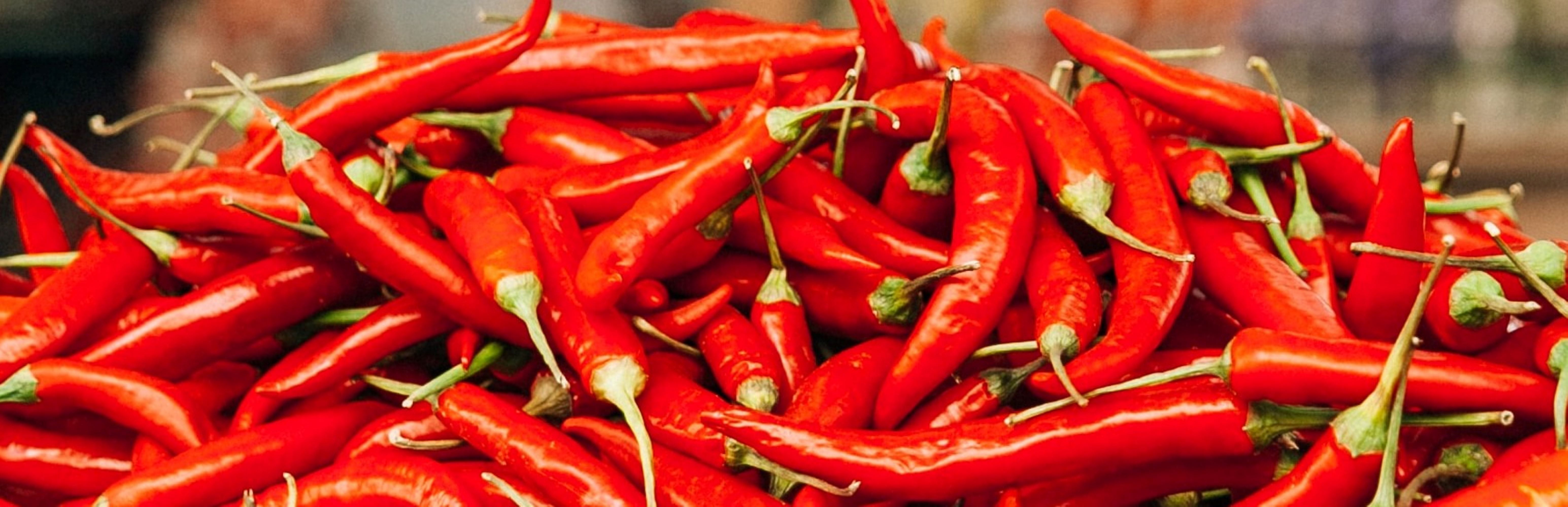 Ornamental Thai Pepper/ Perennial/ Full Sun/ 4K Seeds 1 oz/ Zellajake ...