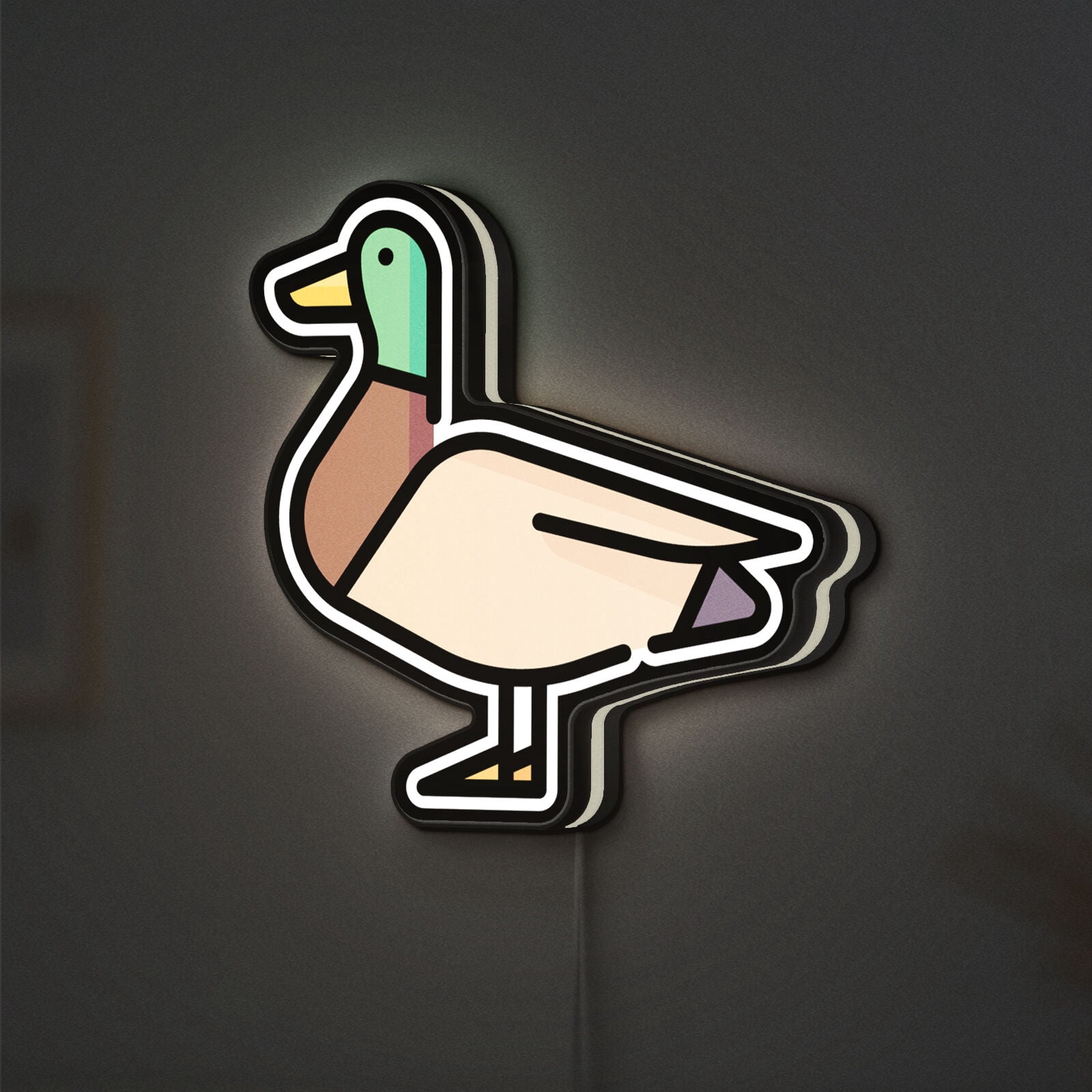 Ornithology Duck 3D Novelty Light Box, Bird Science Lamp Decor for ...