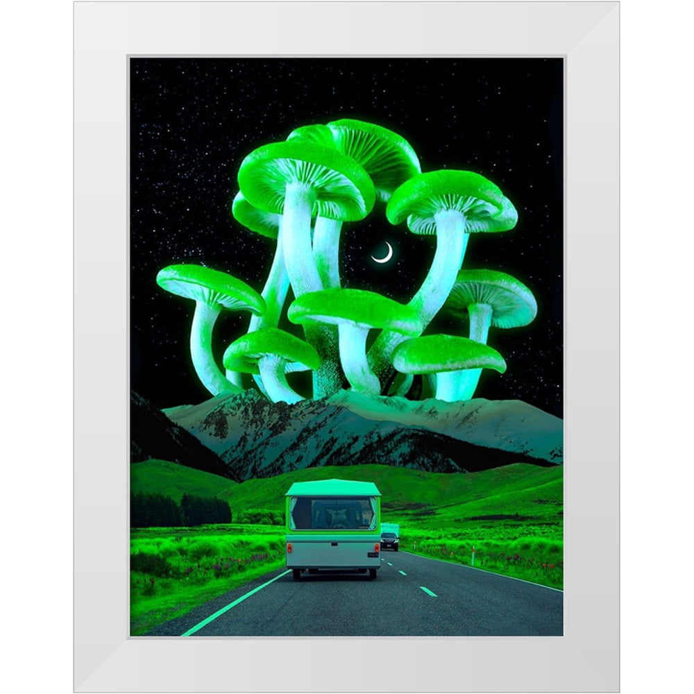 Orozco, Danner 19x24 White Modern Wood Framed Museum Art Print Titled ...