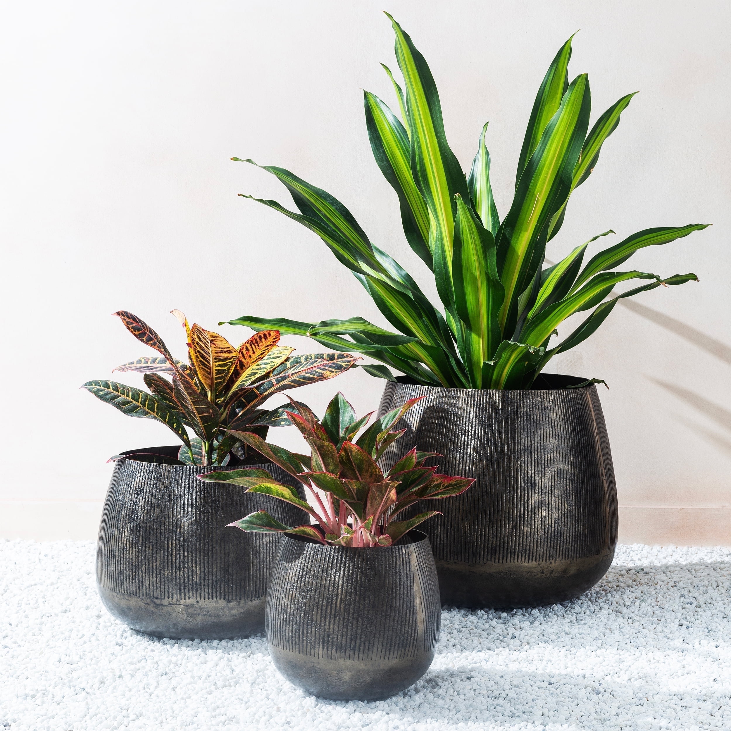 Fab Habitat Orra Antique Brass Round Metal Planters – Set of 3 (Small ...