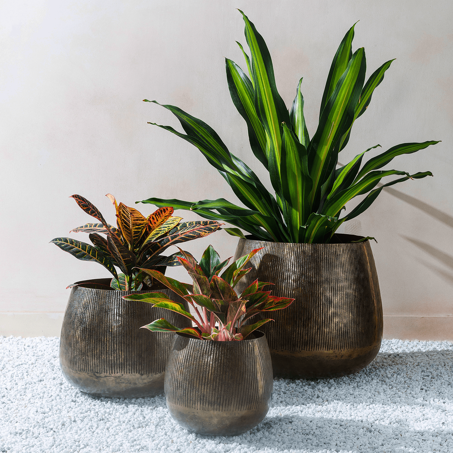 Fab Habitat Orra Antique Brass Round Metal Planters – Set of 3 (Small ...