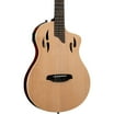AeroBand Portable Stringless Acoustic Electric Guitar for Travel ...