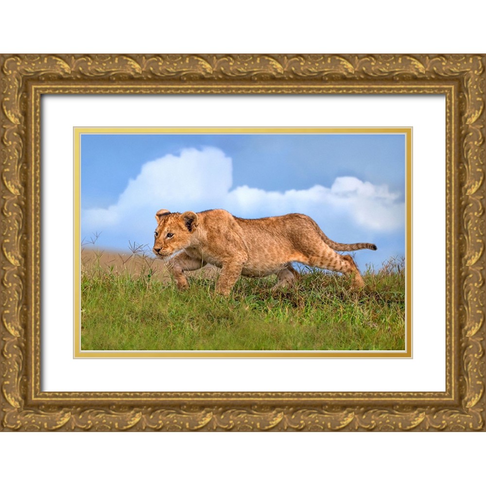 Ortega, Xavier 14x11 Gold Ornate Wood Framed with Double Matting Museum ...