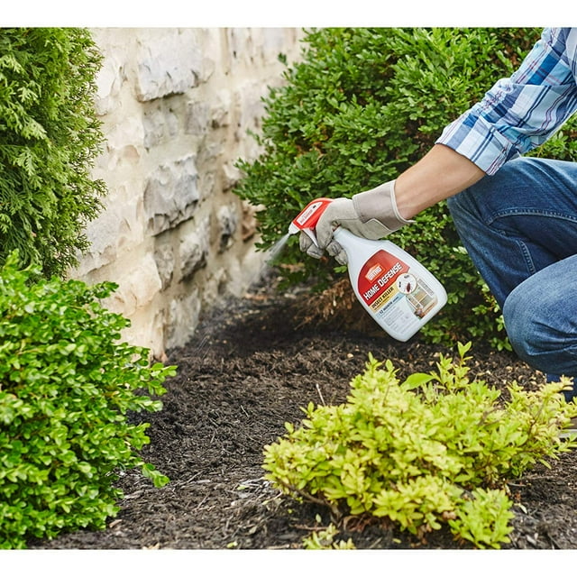 Ortho 0196410 Home Defense MAX Insect Killer Spray for Indoor and Home ...