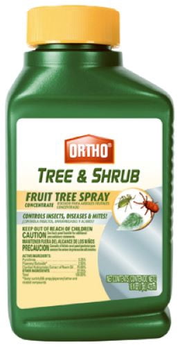 Ortho 0424315 16 oz Bottle of Fruit Tree Insect & Disease and Mite ...