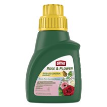 Spectracide Immunox Fungicide Spray Concentrate for Gardens, 16 oz ...