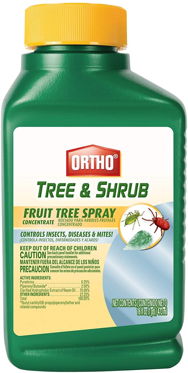 Ortho Tree & Shrub Fruit Tree Spray, 16-Ounce - Walmart.com