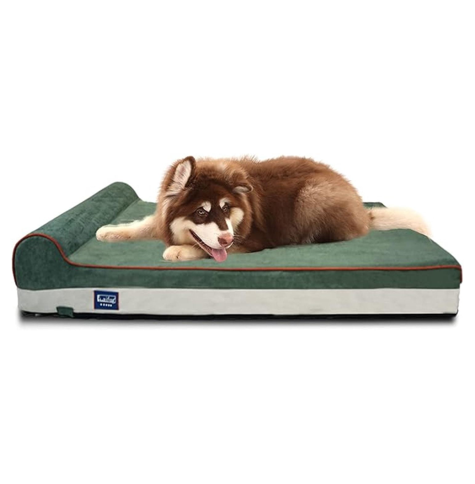 Orthopedic Memory Foam Dog Bed with Durable Water Proof Liner and ...