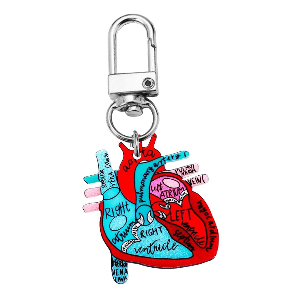 Osdhezcn Anatomical Heart Keychain Educational Human Heart Charm for ...