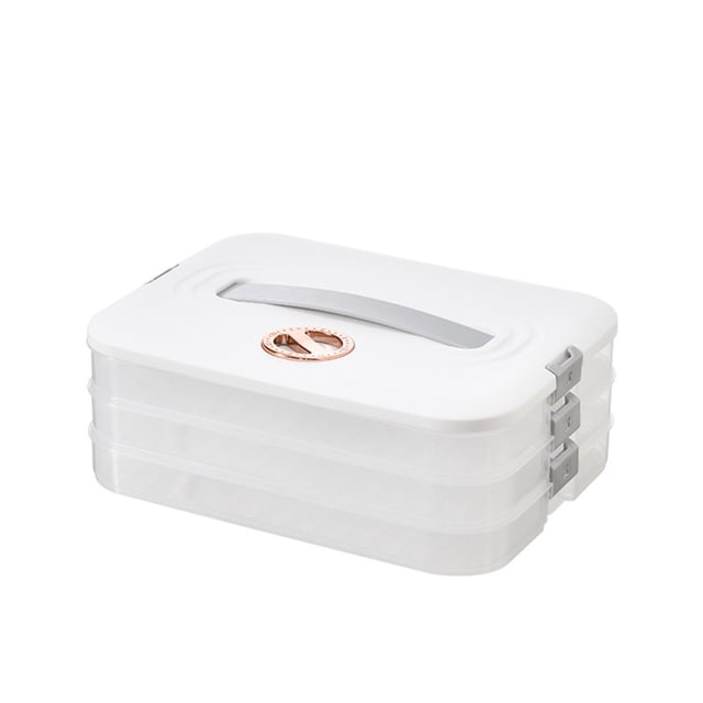 Osdhezcn Food Freezing Storage Box Clear Food Fridge Box with Time ...
