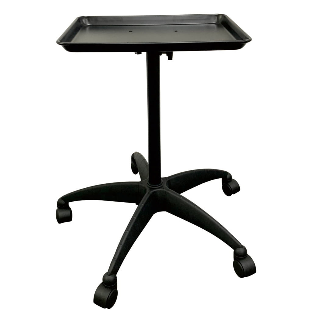 Osdhezcn Practical And Portable Salon Tray Storage Container For ...