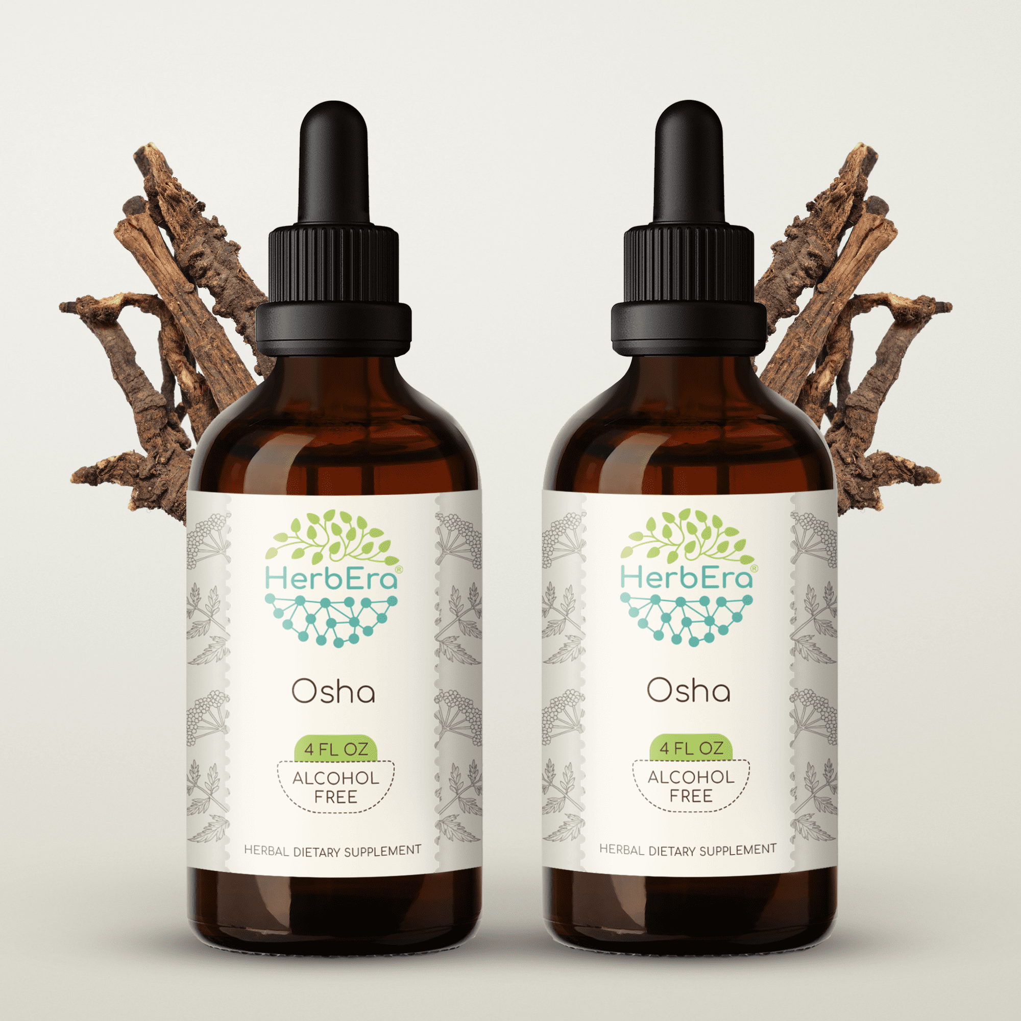 Osha Alcohol-FREE Herbal Extract Tincture, Super-Concentrated (Bear ...