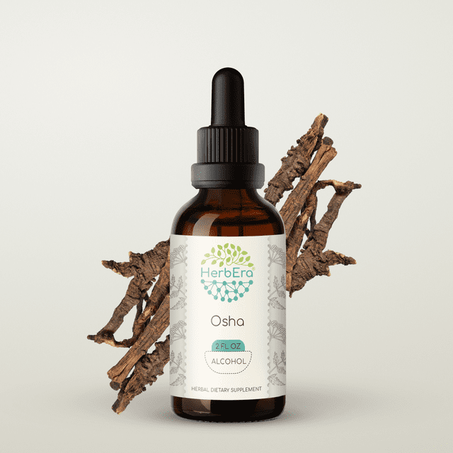 Osha Alcohol Herbal Extract Tincture, Super-Concentrated (Bear Root ...