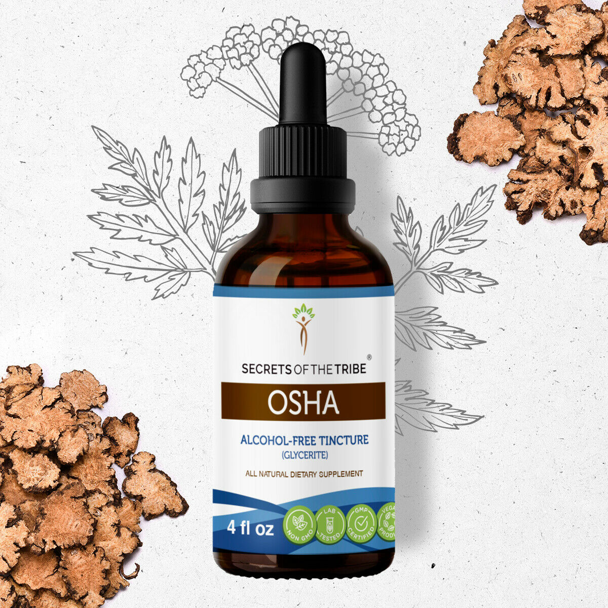 Osha Tincture Alcohol-FREE Extract, Responsibly farmed Osha Ligusticum ...