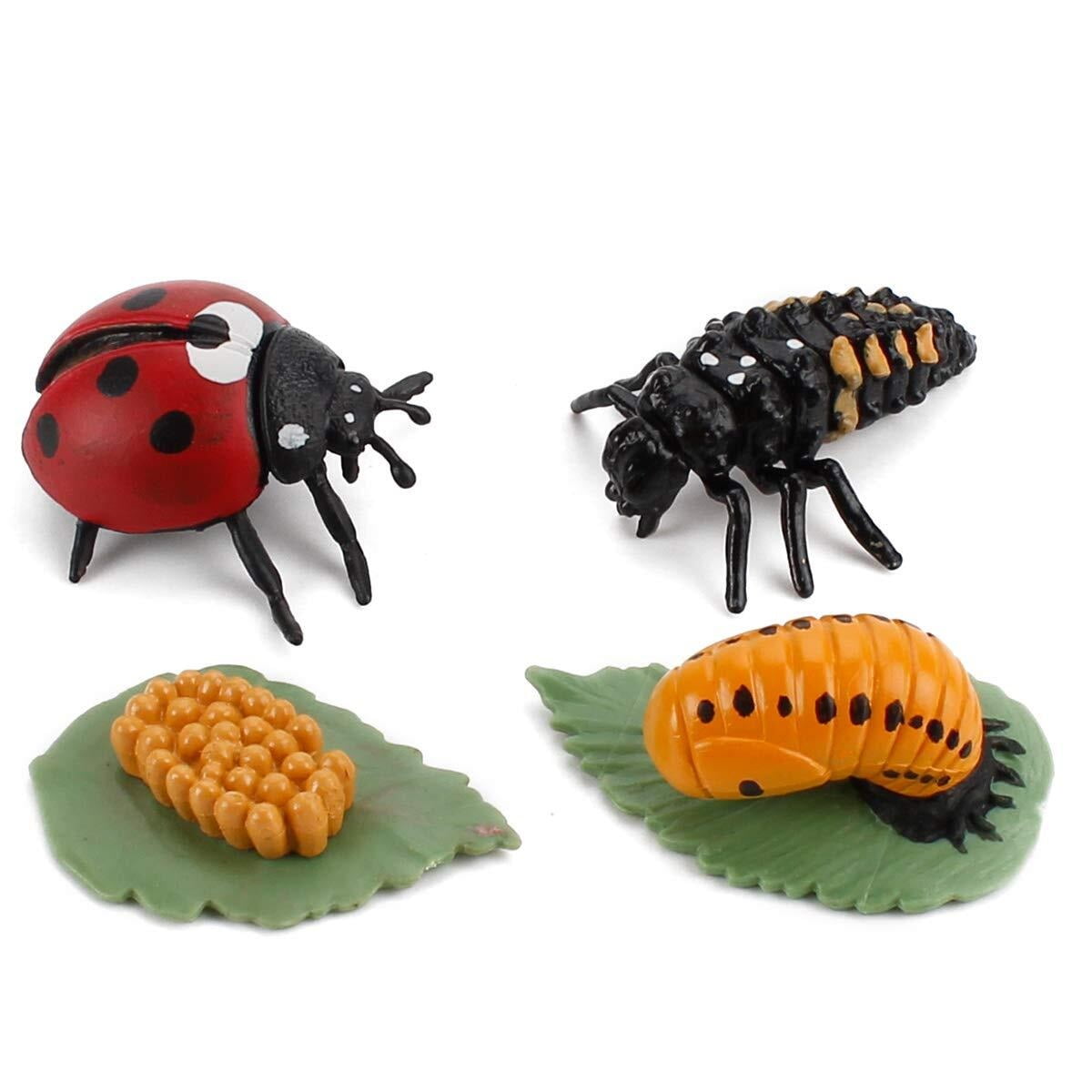 Oshun 4 PCS Sea Turtle Ocean Marine Animal Growth Life Cycle Model ...