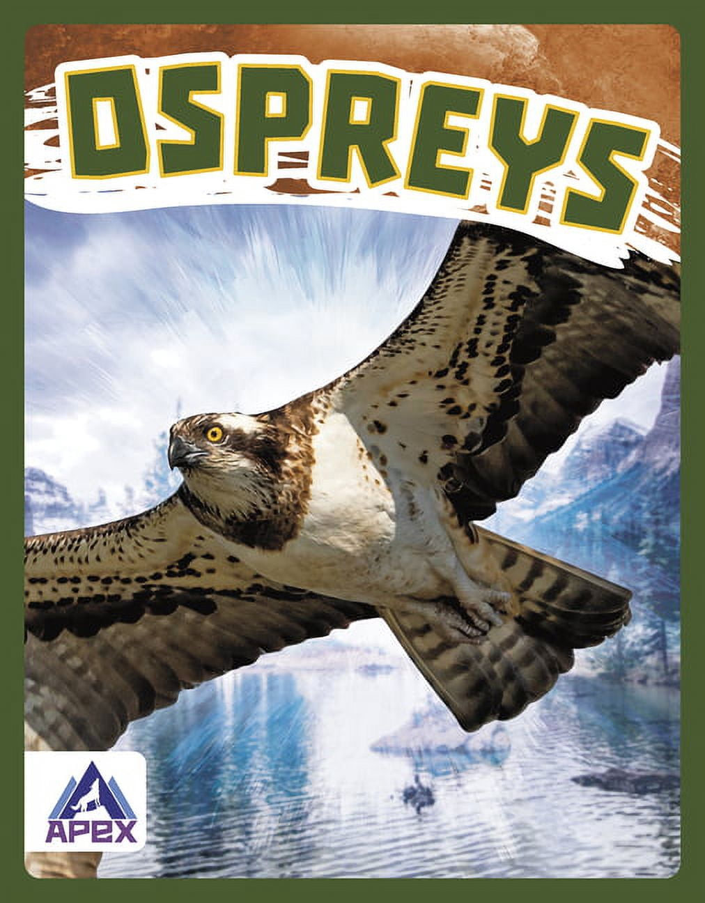Ospreys, (Hardcover) - Walmart.com