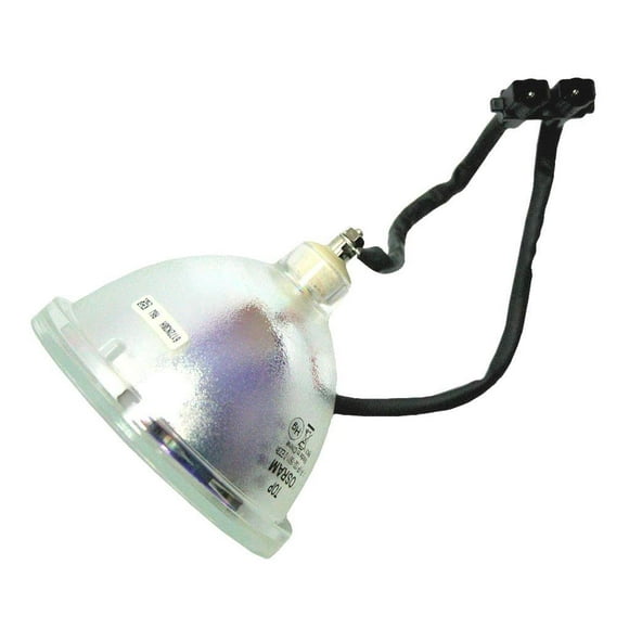 Slide Projector Bulbs