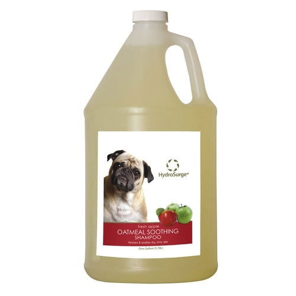 Oster HydroSurge Oatmeal Soothing Shampoo Gallon - Apple Scent ...