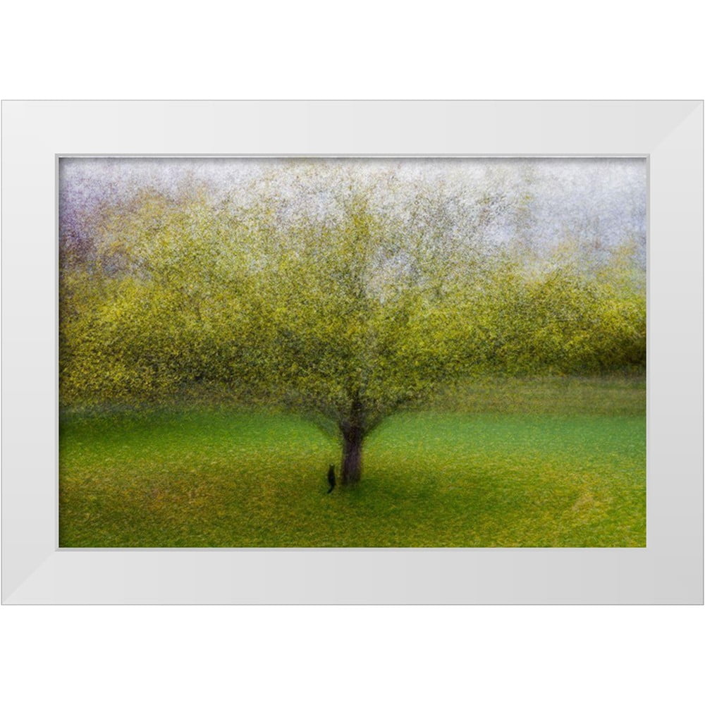 Ostlund, Arne 18x13 White Modern Wood Framed Museum Art Print Titled ...