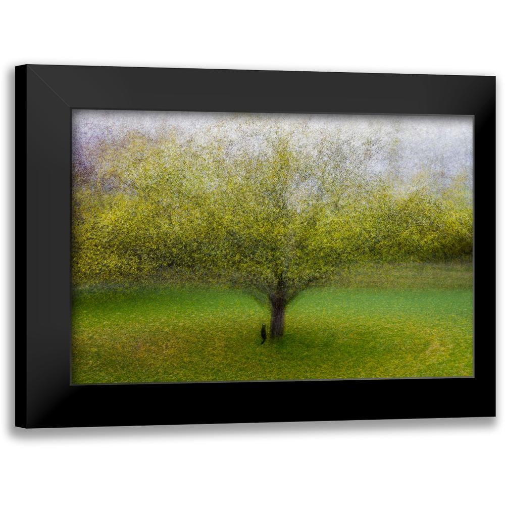 Ostlund, Arne 24x17 Black Modern Framed Museum Art Print Titled - The ...