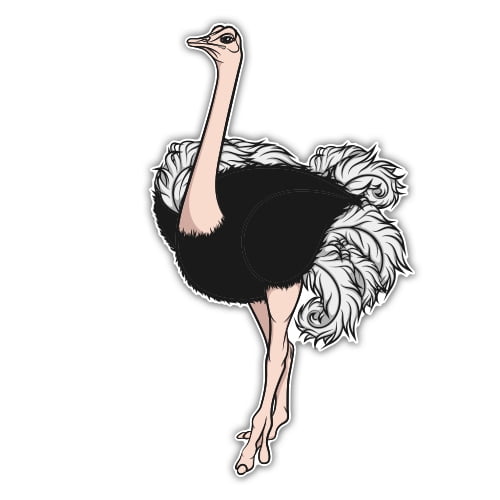 Ostrich - 5" Vinyl Sticker - For Car Laptop I-Pad - Waterproof Decal ...