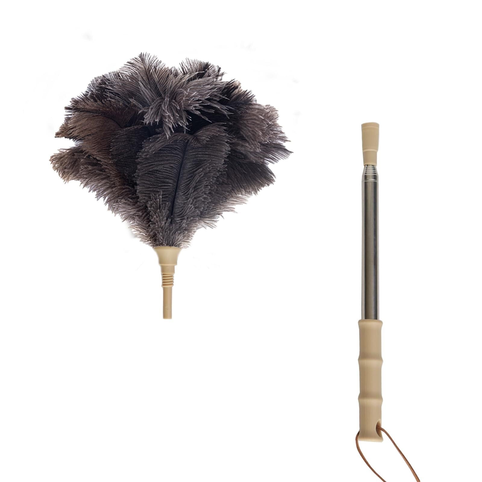 Ostrich Feather Duster with Extension Pole Up to 43 inch, Genuine ...