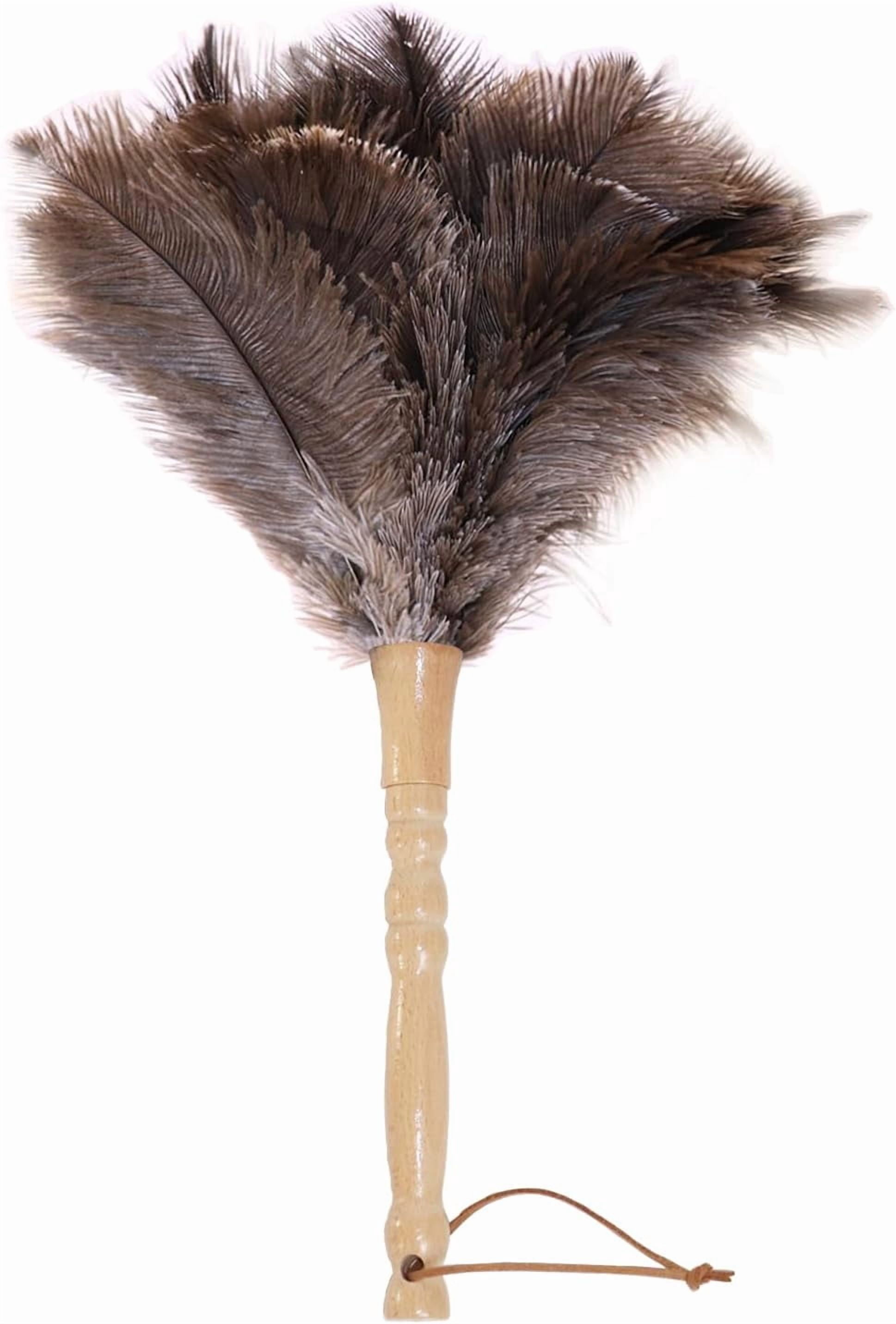 Ostrich Feather Duster, Natural Fluffy Reusable Real Eco-Friendly ...
