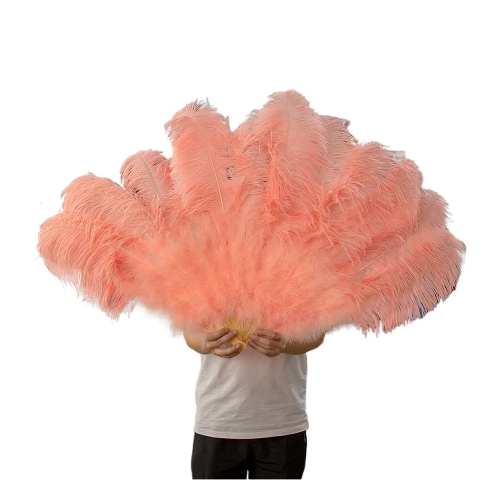 Ostrich Feather Fan Large Ostrich Feather Fans Feather Hand Fan ...