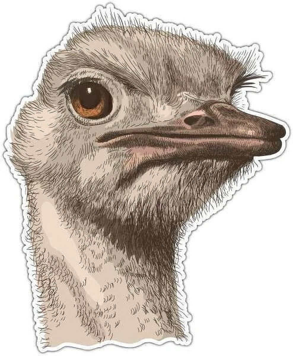 Ostrich Head Bird Zoo Africa Car Window Stickerphone Decal Water Bottle ...