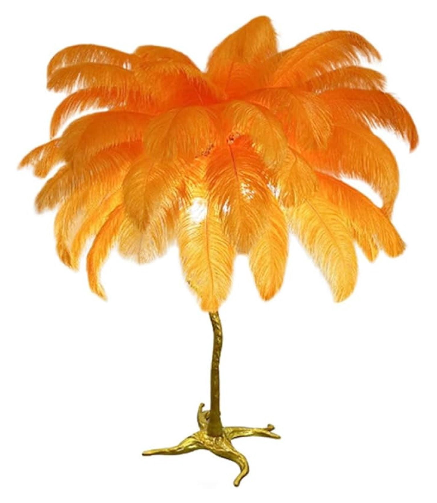 Ostrich lamp,Resin lamp with Natural Ostrich (Contains Light Sources ...