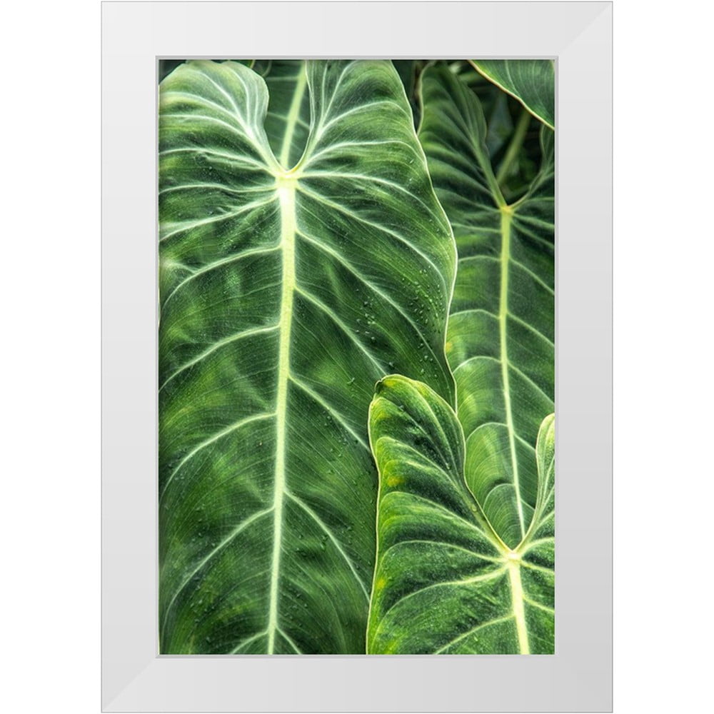 Ostrowitz, Mallorie 11x14 White Modern Wood Framed Museum Art Print ...