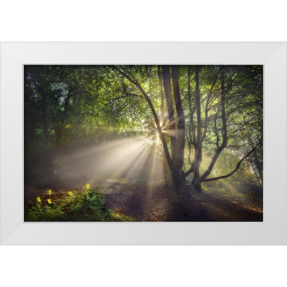 Osuna, Fran 18x13 White Modern Wood Framed Museum Art Print Titled ...