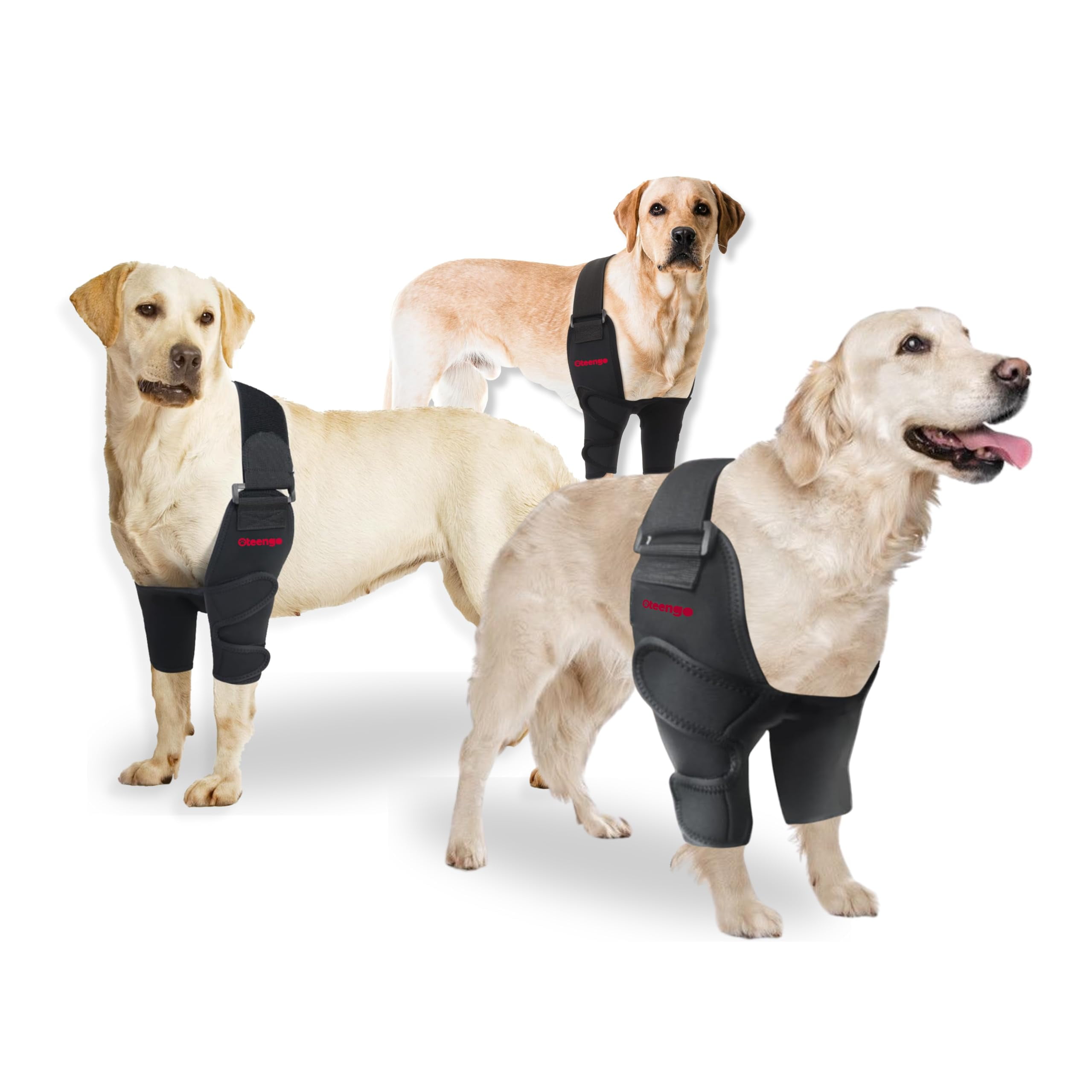 Oteengo Dog Elbow Brace DHF10 & Protector Pads, Adjustable Shoulder ...