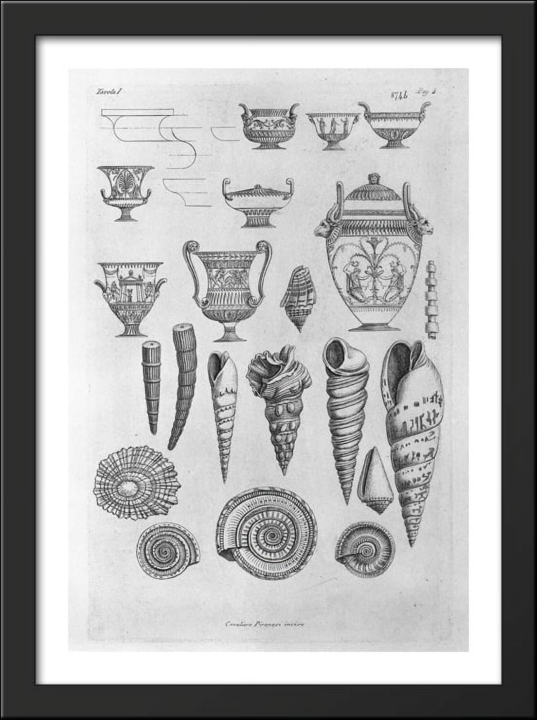 Other shells, and Greek vases etched outline 28x40 Large Black Wood ...