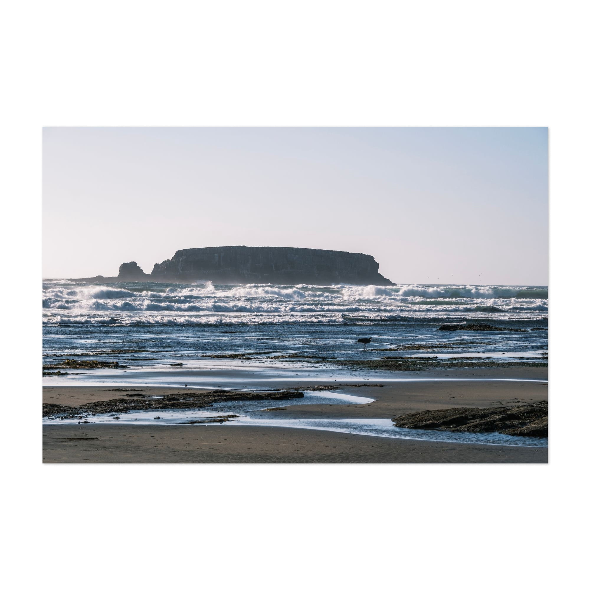 Otter Crest Heron - Otter Crest Beach Oregon Photography Seascape Waves ...