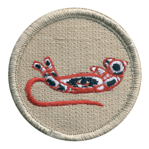 Otter Totem Scout Patrol Patch (Sew-on) - ClassB - Walmart.com