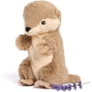 Warmies, Plush, Otter ML, Microwave Reusable Plush Animal - Walmart.com