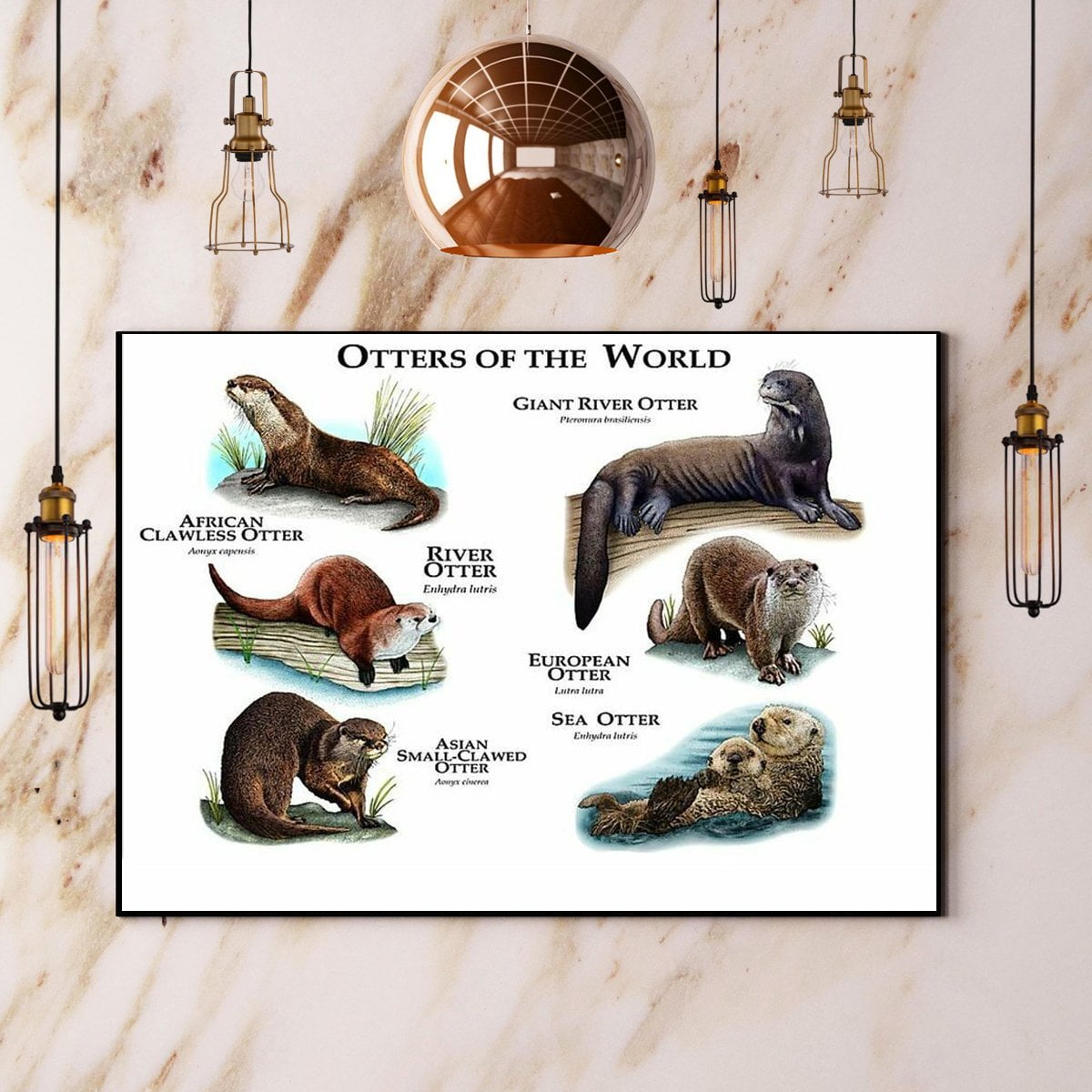 Otters Cute Types Of Otters Of The World Horizontal Poster Paper Poster ...