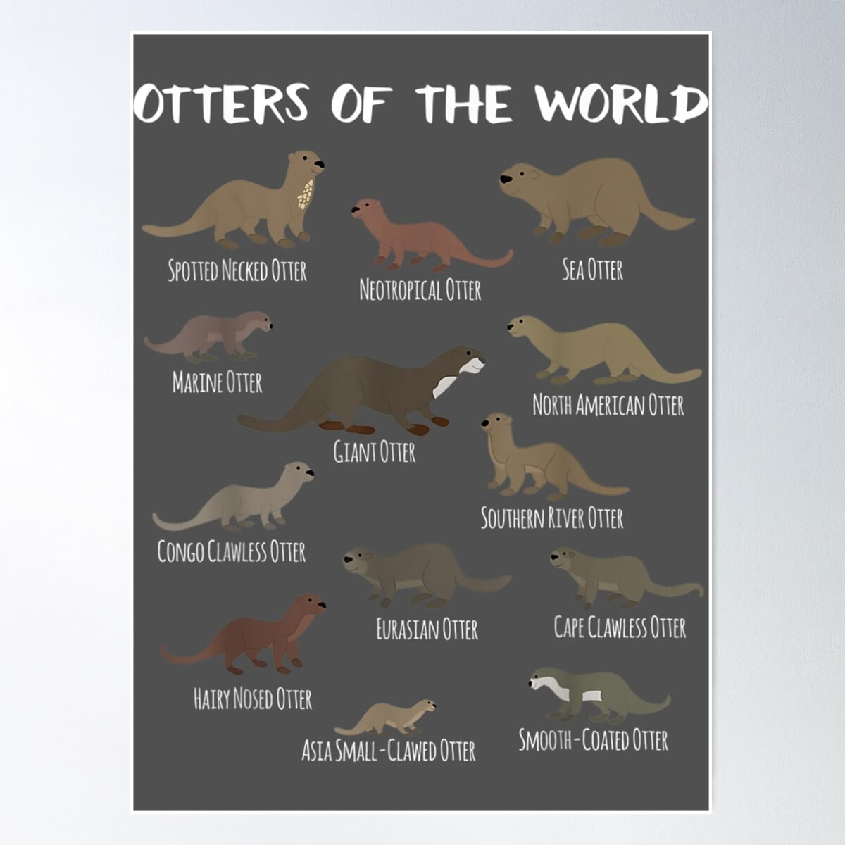 Otters Of The World Sea Otter Giant Otter Educational Poster Wall Art ...
