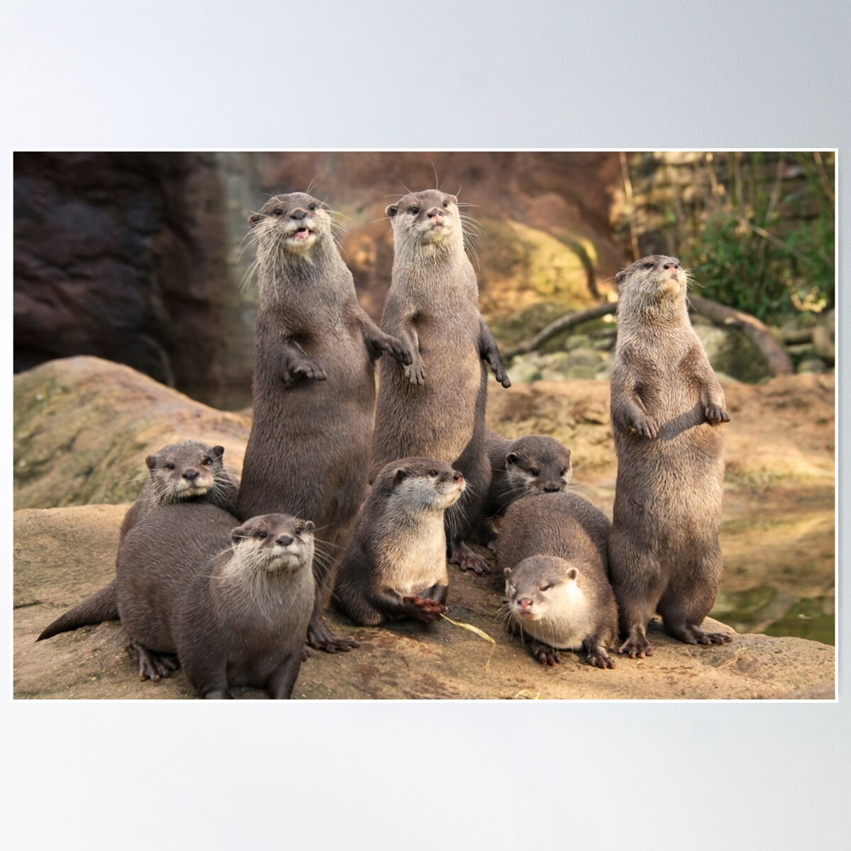 Otters Poster Wall Art, Modern Wall Decor For Living Room Bedroom, 8x12 ...